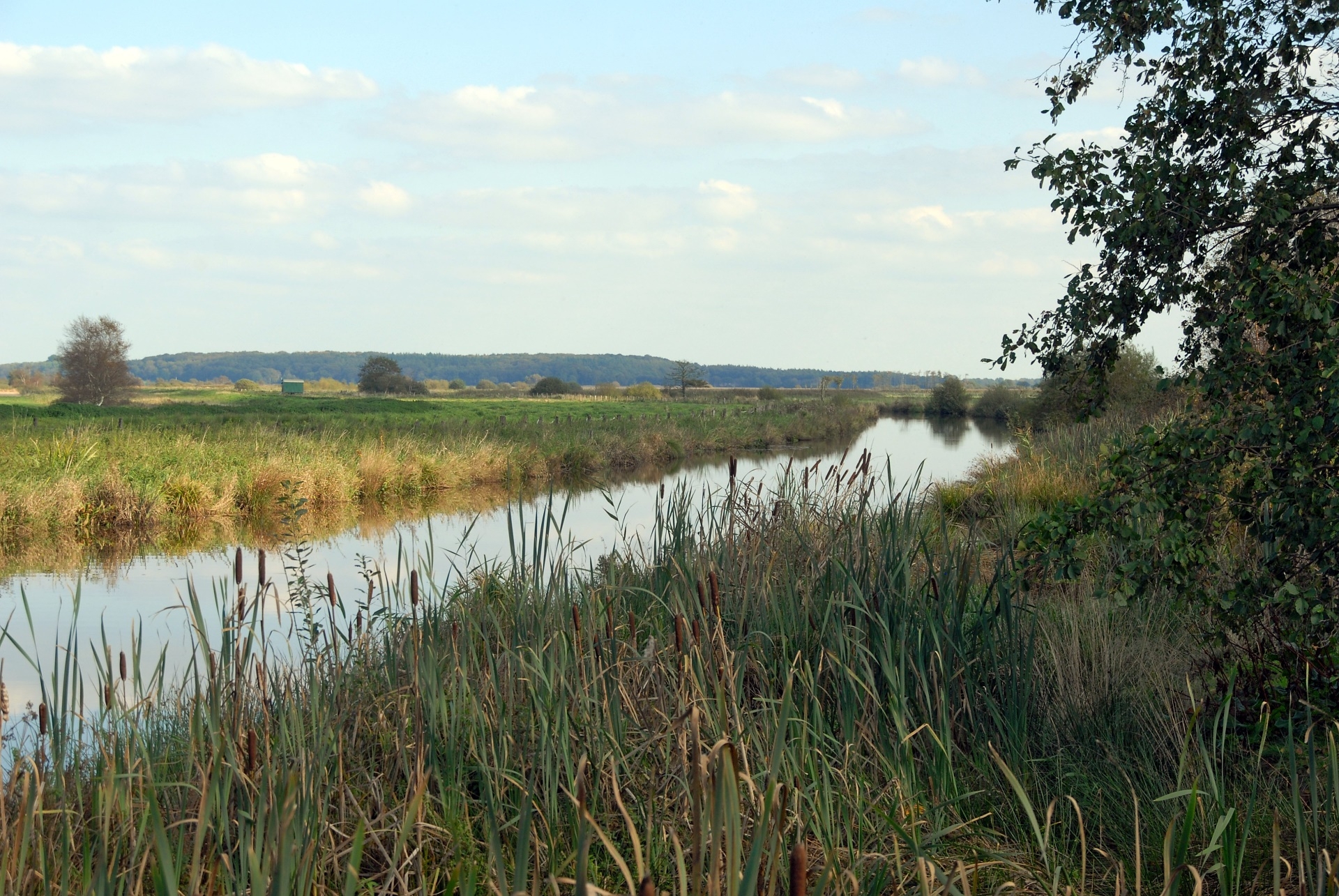 Startseite | Gemeinde Schiffdorf